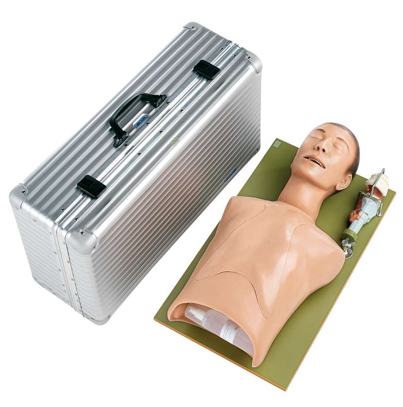 CLA intubation model (basic model with larynx and case). | Models ...